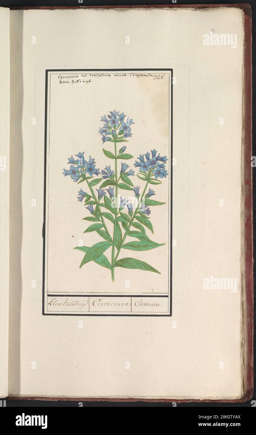 Emperor rudolf clock hi-res stock photography and images - Alamy