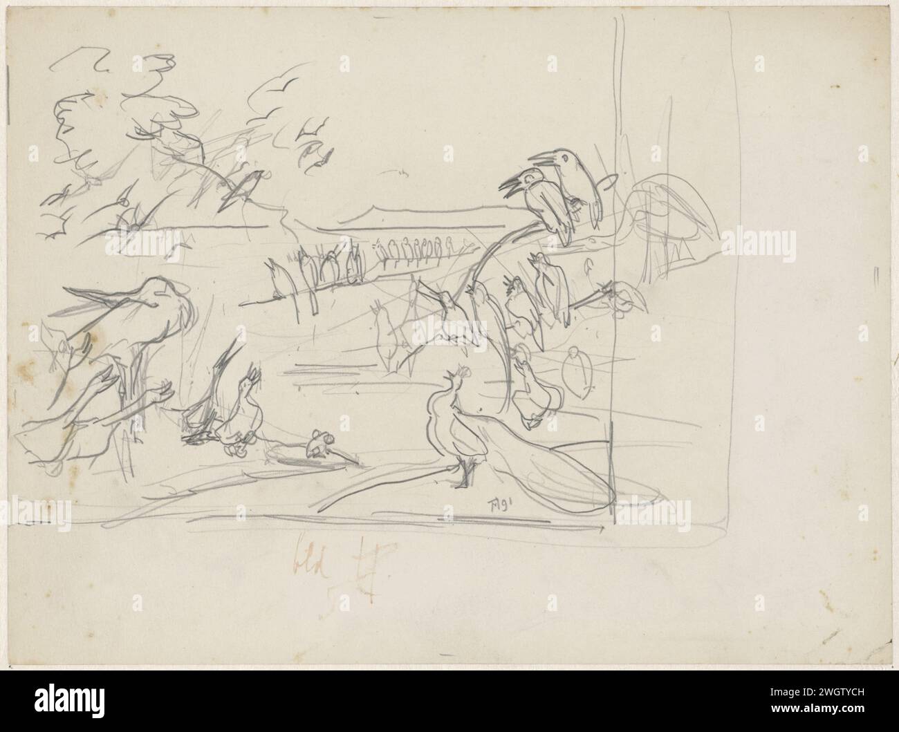 Sketch for illustration in how the birds got a king, Theo van Hoytema ...