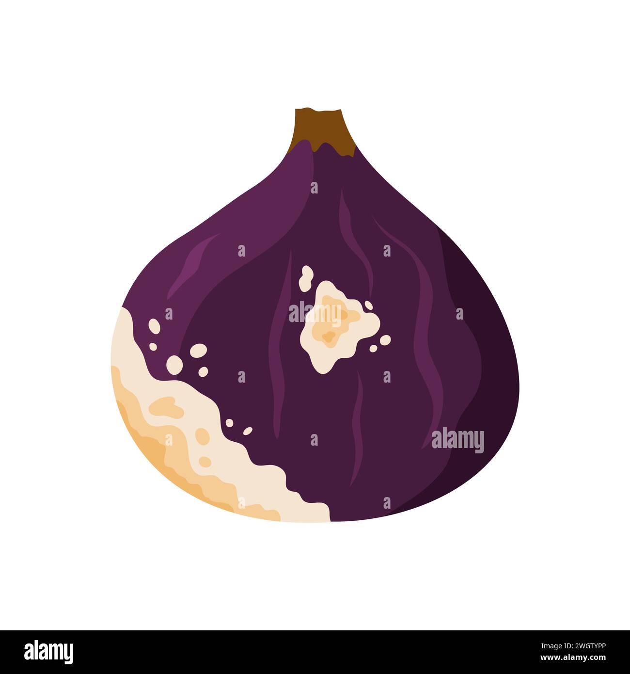 Old rotten fig fruit. Bad old unhealthy food, moldy expired product ...