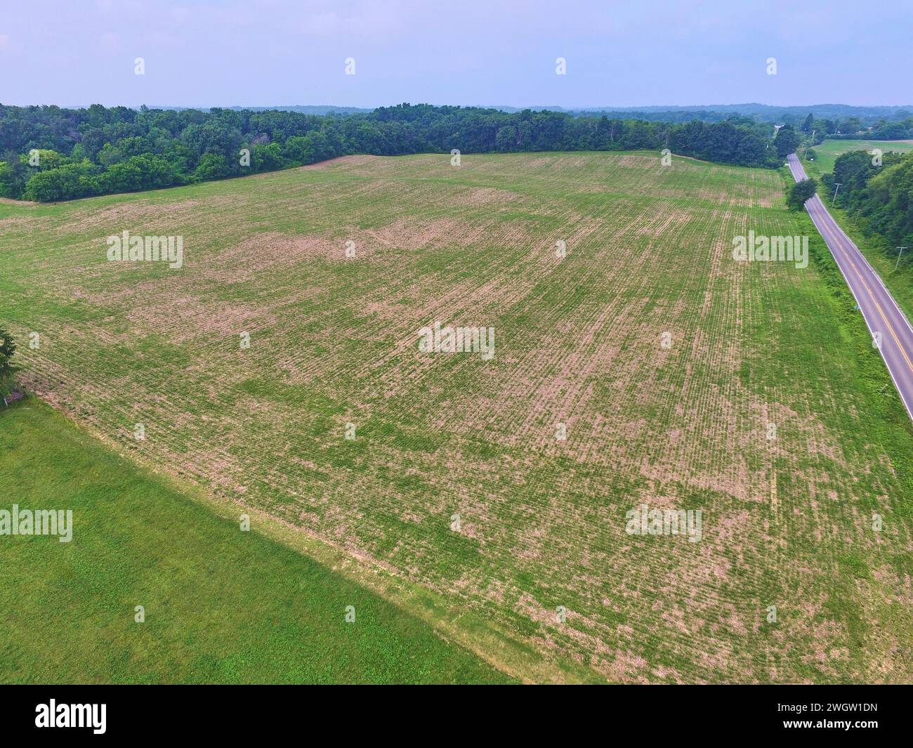 Aerial Serene Agricultural Field with Textured Patterns and Surrounding ...