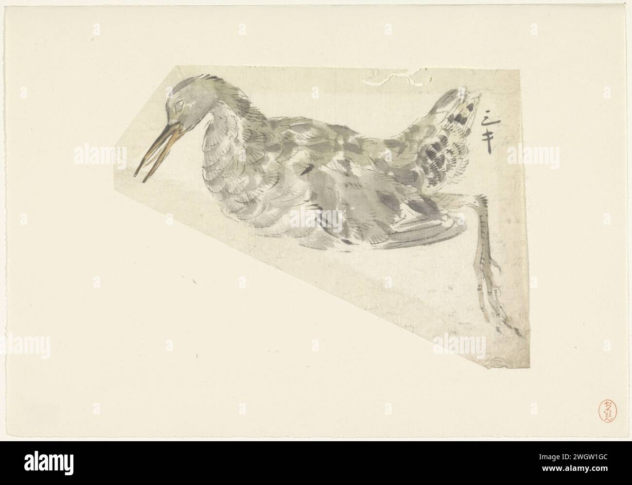 DODE WATERVOGEL, YAMAMOTO SHINRYO BAIITSU, 1800-1900 drawing paper ...