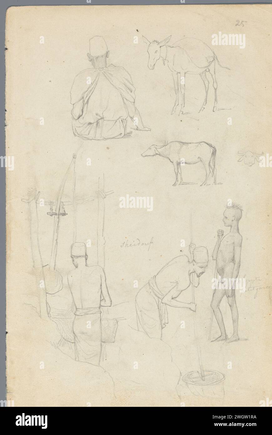 Five studies of Egyptians and Animals, Willem de Famars Testas, c. 1858 ...