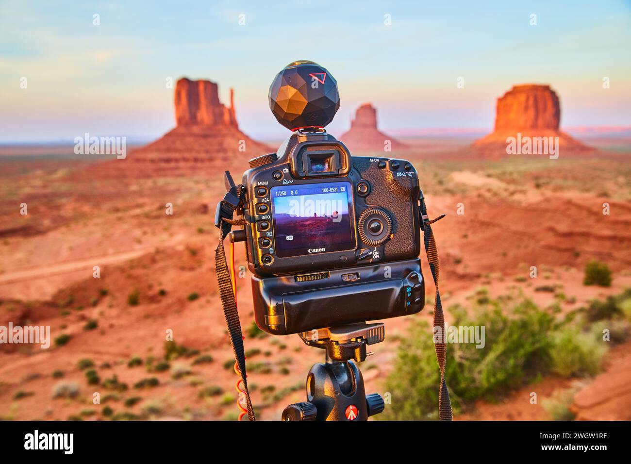 Golden hour moment hi-res stock photography and images - Alamy