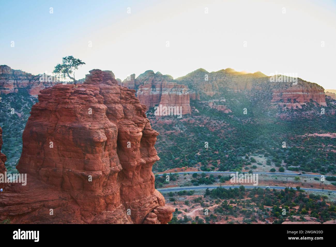 Golden Hour at Bell Rock with Solitary Tree, Sedona Desert View Stock ...