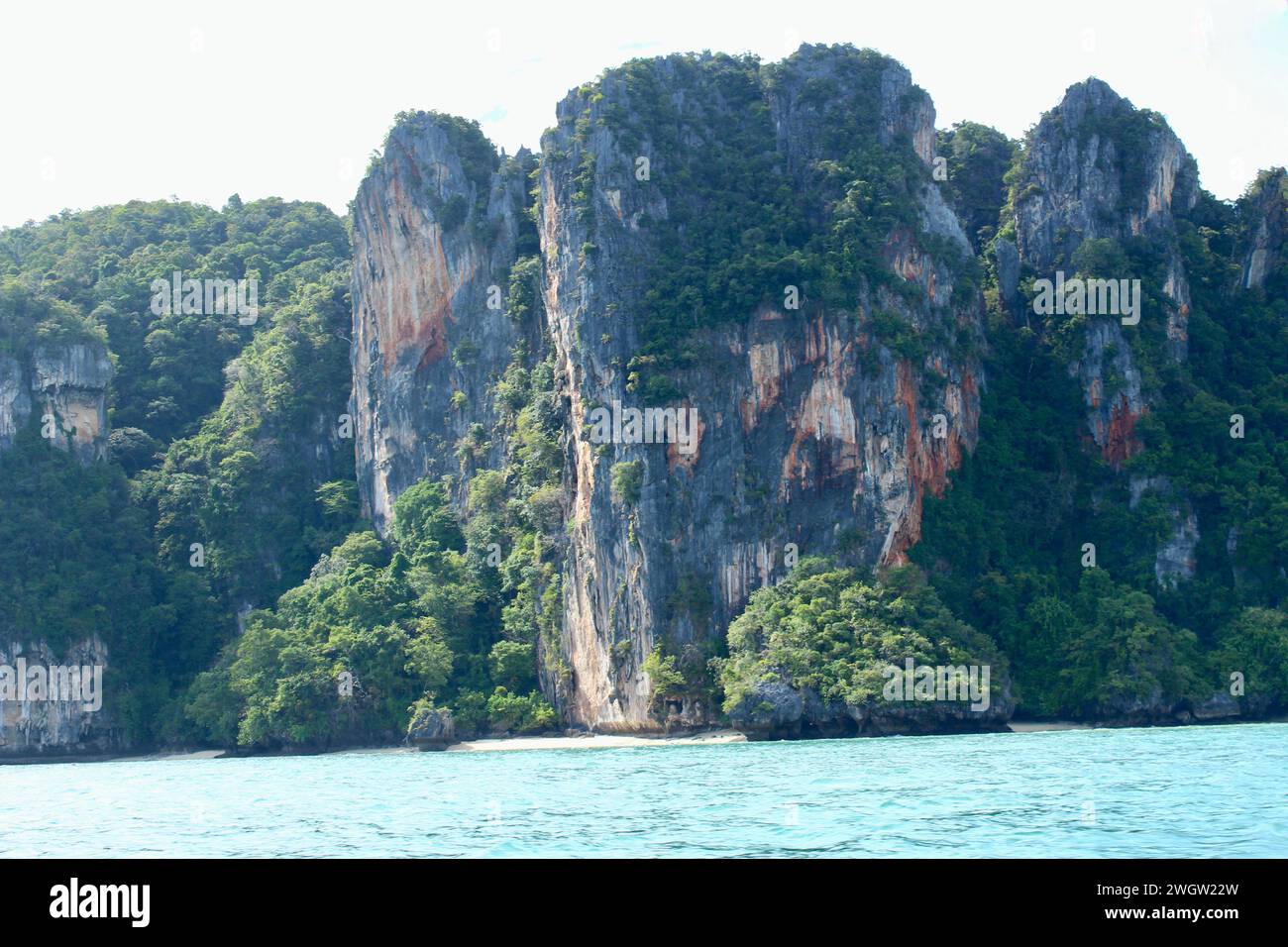 Tropical wallpapaer hi-res stock photography and images - Alamy