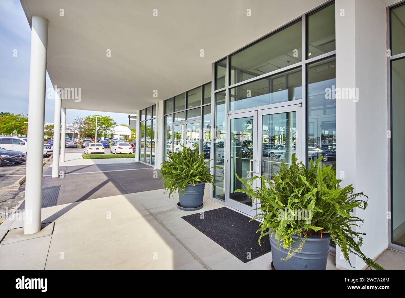Modern Commercial Building Entrance with Greenery and Reflections Stock ...
