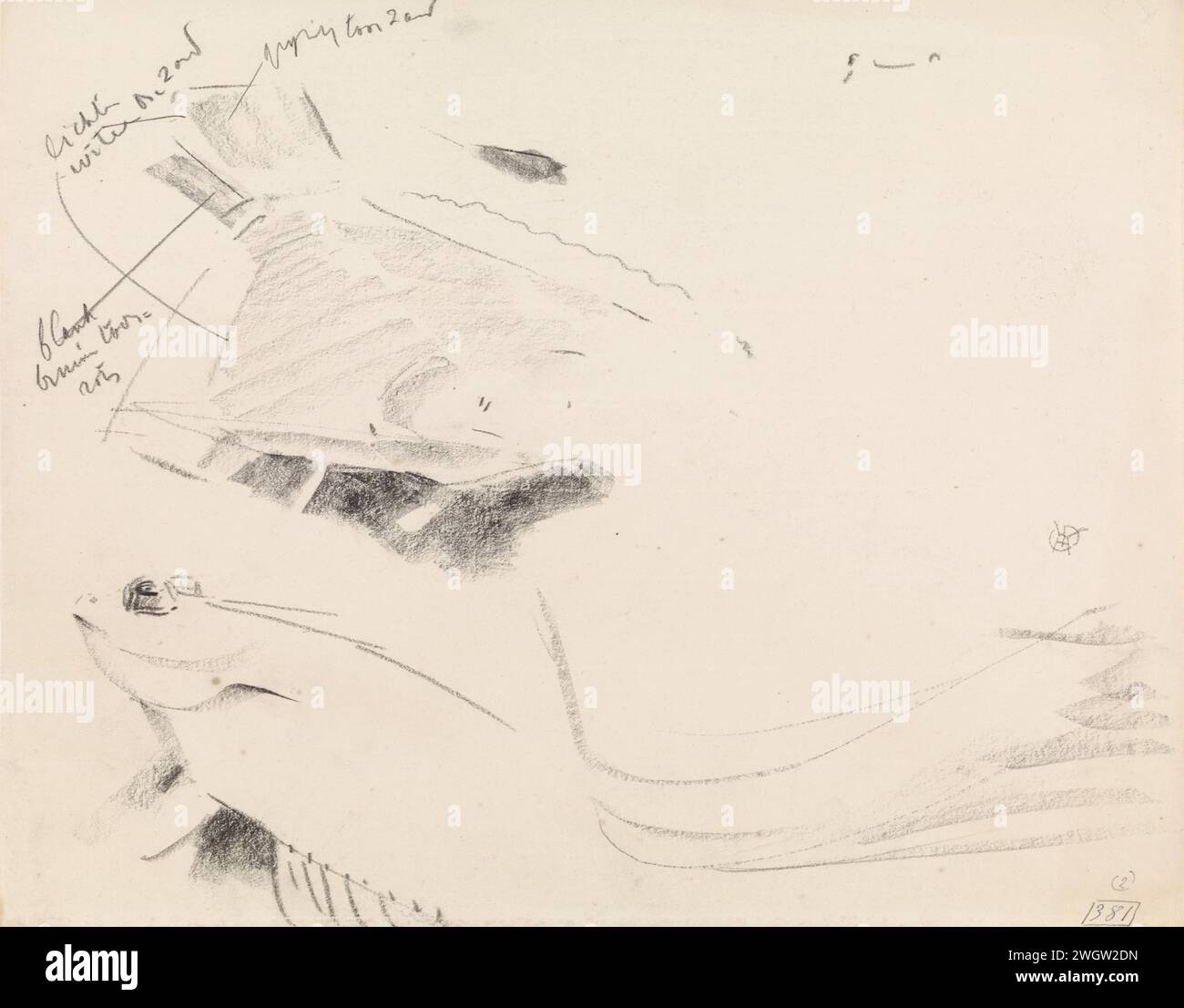 Studies of a plaice, with color notes, Gerrit Willem Dijsselhof, 1876 ...