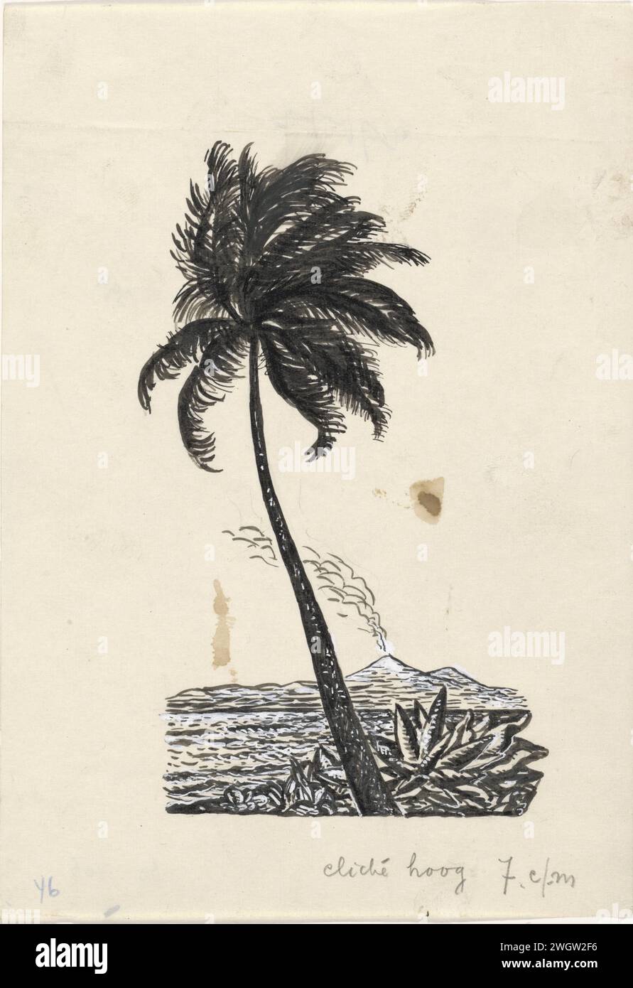 Palm tree pen and ink illustration hi-res stock photography and images ...