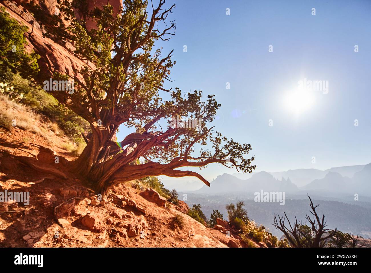 Resilient terrain hi-res stock photography and images - Alamy