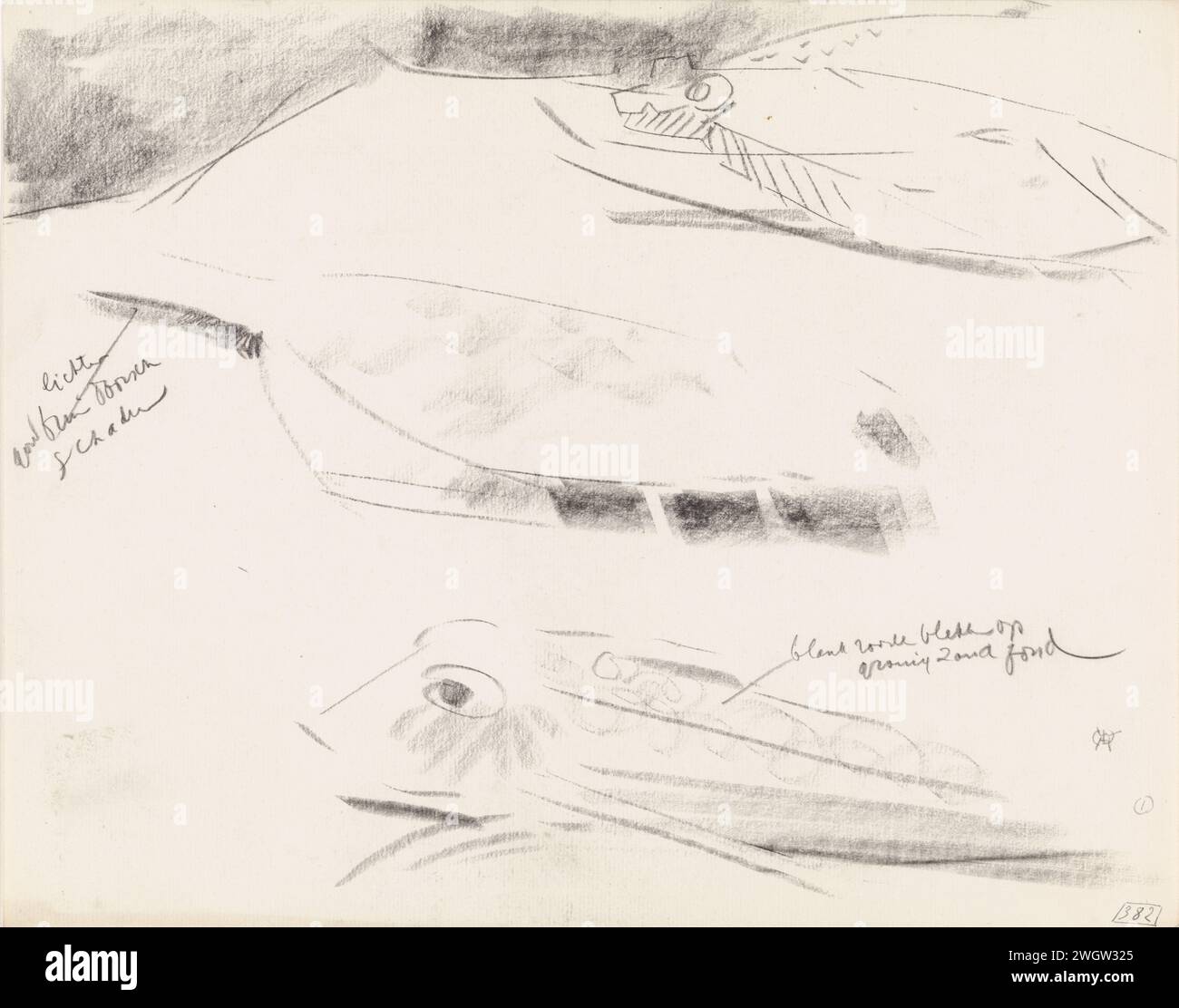 Studies of a Poon and Two Schollen, with color notes, Gerrit Willem ...