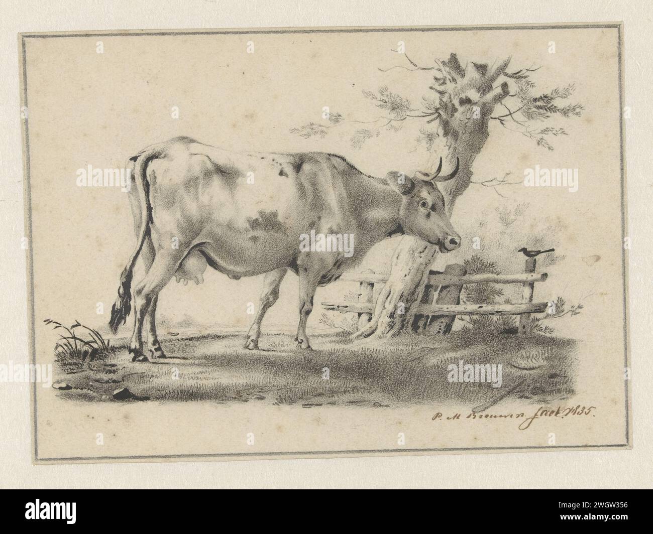 Standing cow, to the right, Petrus Marius Brouwer, 1835 drawing paper ...
