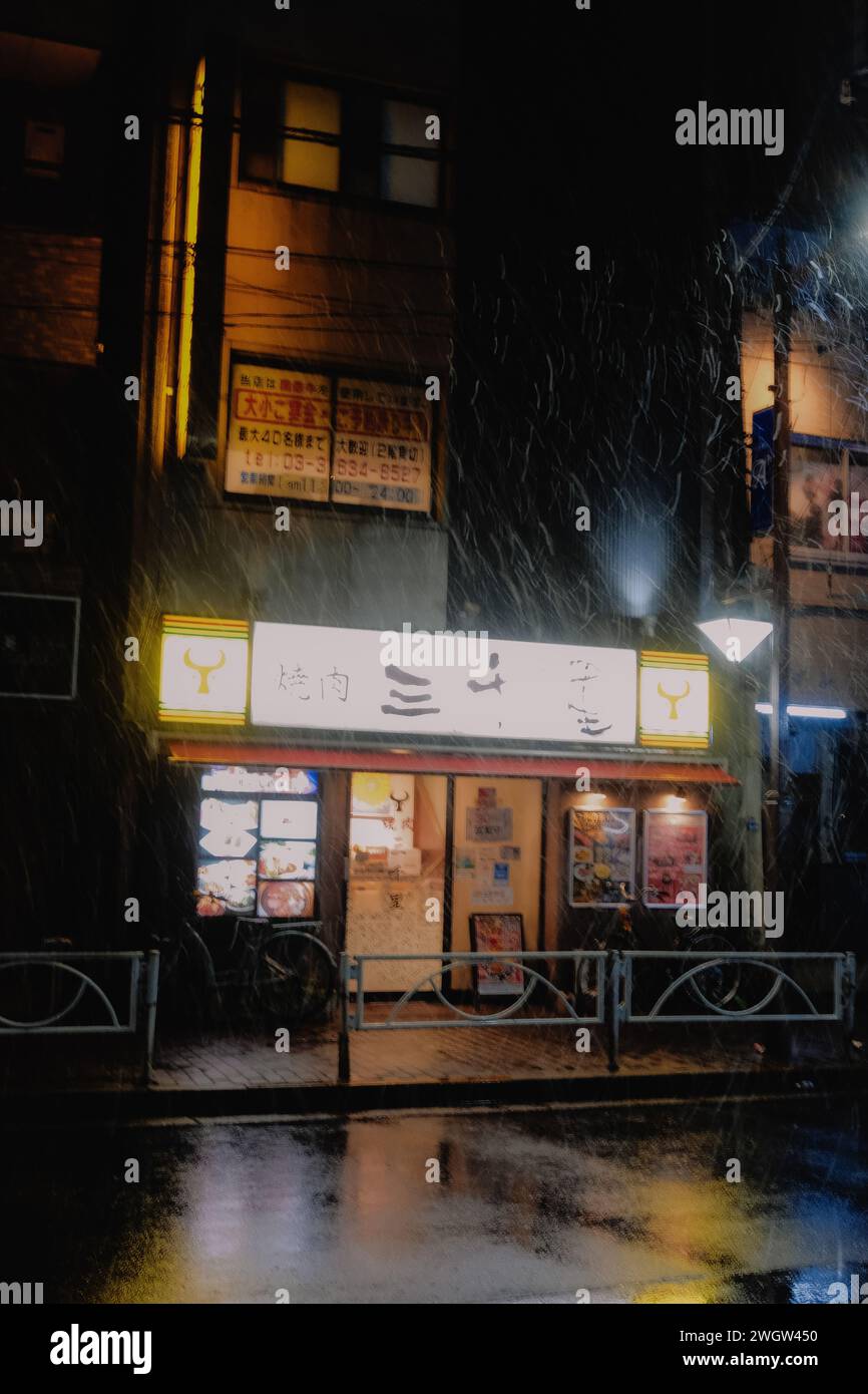 Tokyo snow at night, Tokyo, Japan Stock Photo - Alamy