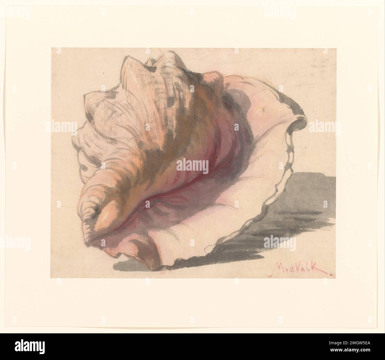 Schelp, Maurits van der Valk, c. 1867 - c. 1935 drawing Japanese paper ...