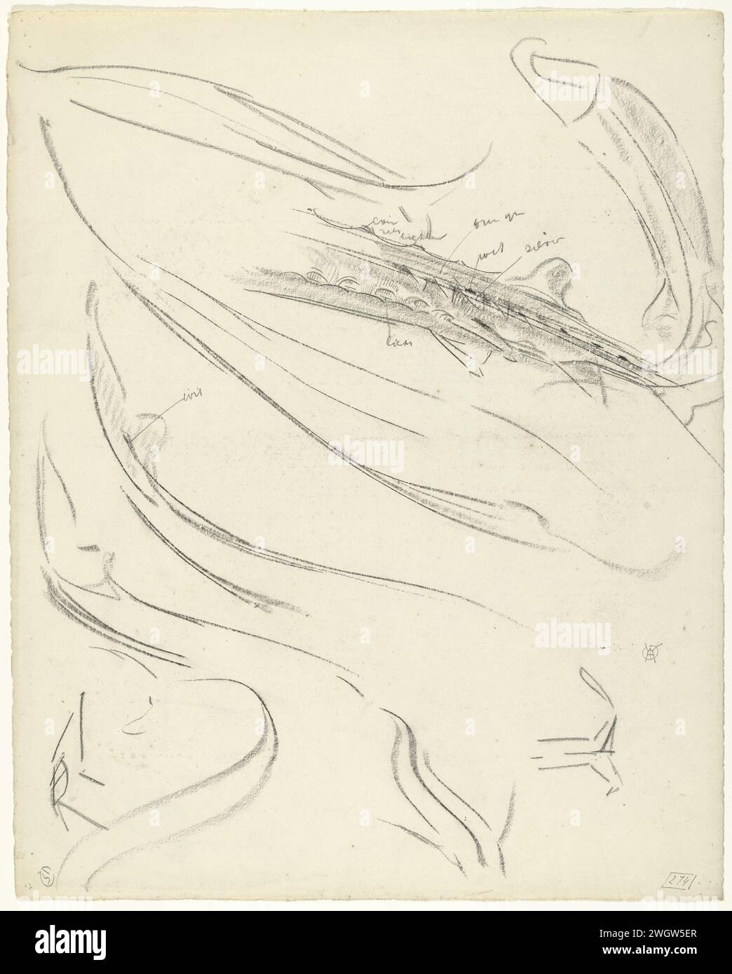 Studies of a sterlet, with color notes, Gerrit Willem Dijsselhof, 1876 ...