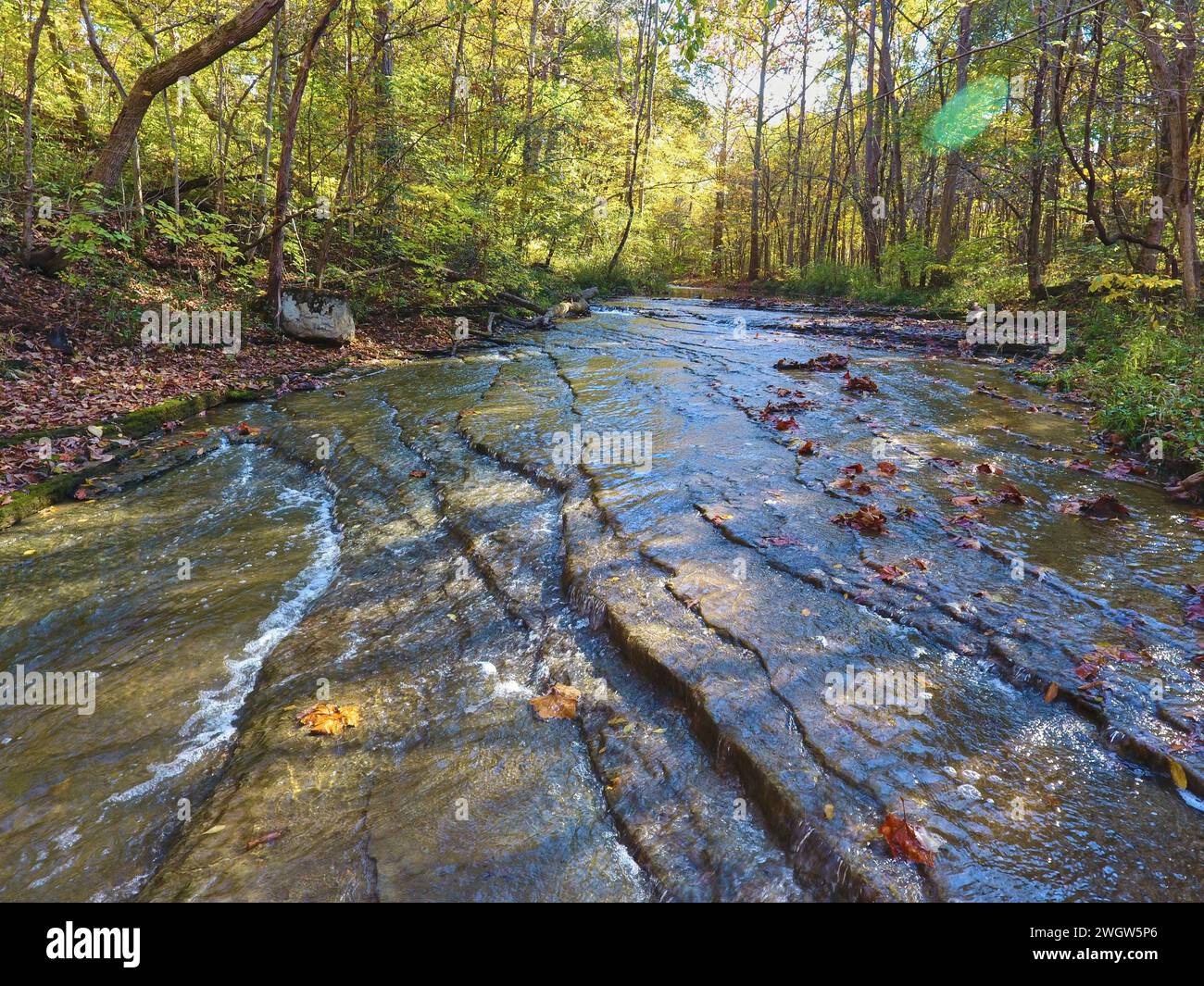 Aerial Autumn Stream in Woodland - Hathaway Preserve, Indiana Stock ...