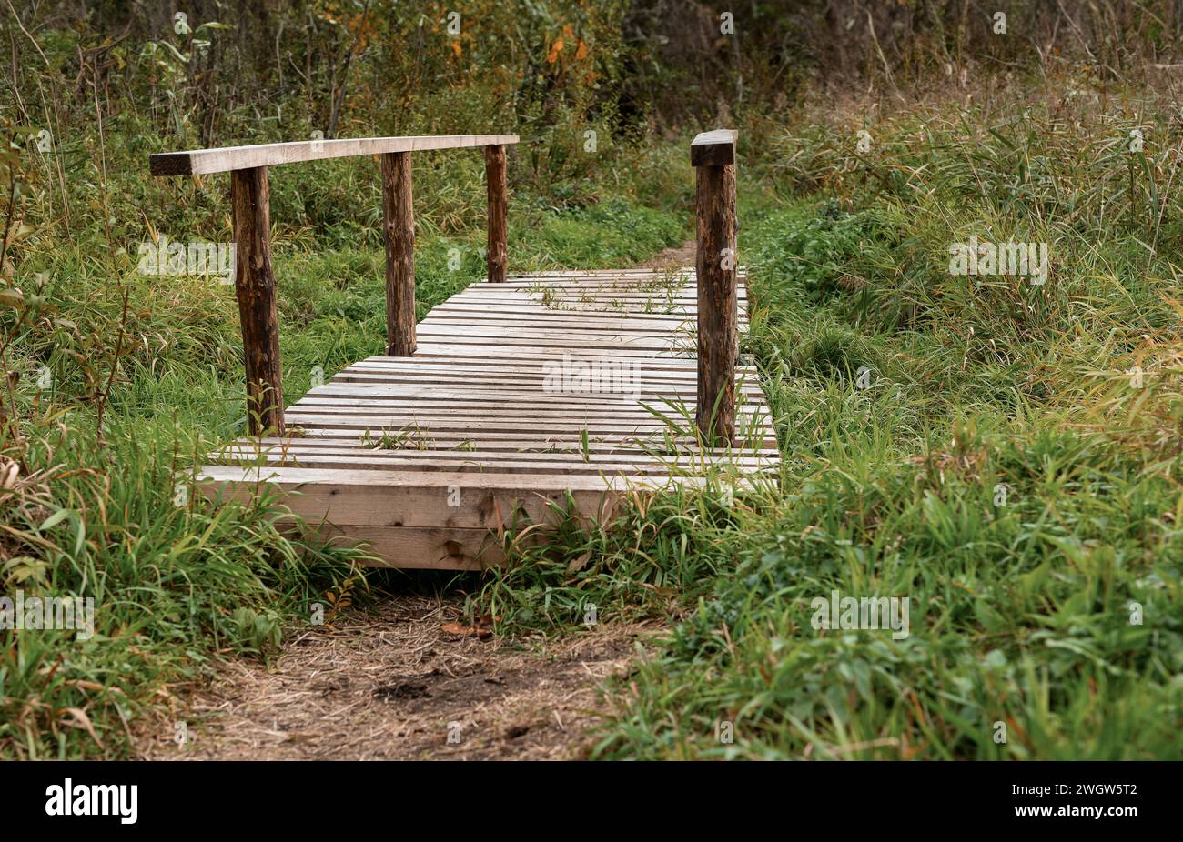 Old wood bridge in nature among green grass Stock Photo - Alamy