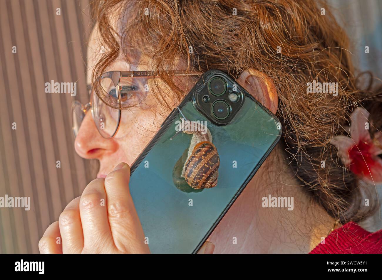 Turkish snail hi-res stock photography and images - Alamy
