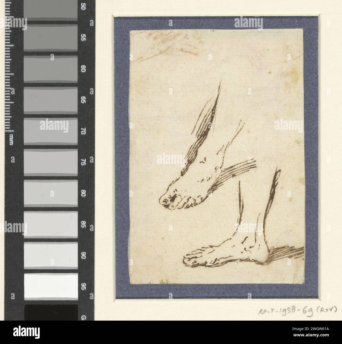 Two studies of a foot, Guido Reni (attributed to), 1585 - 1642 drawing paper. ink pen foot. foot ...
