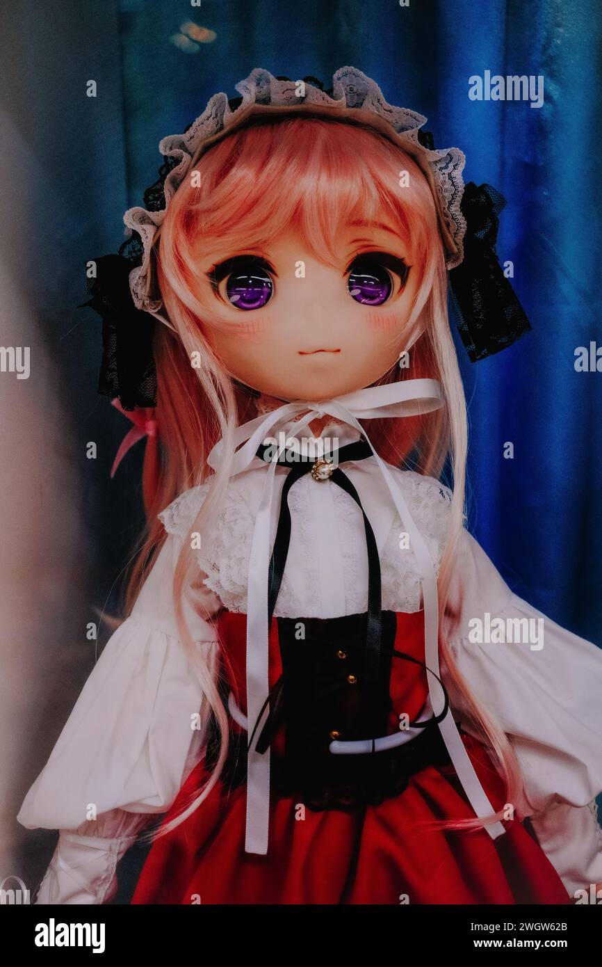 Japanese Anime Dolls