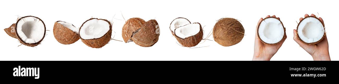 Open broken coconut. Cut pieces, cross section of tropical fruit set ...