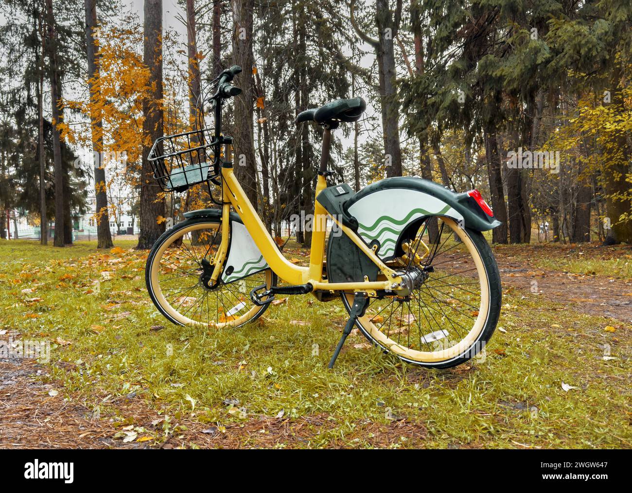 Rental bicycle, modern bike in nature at park, forest Stock Photo - Alamy