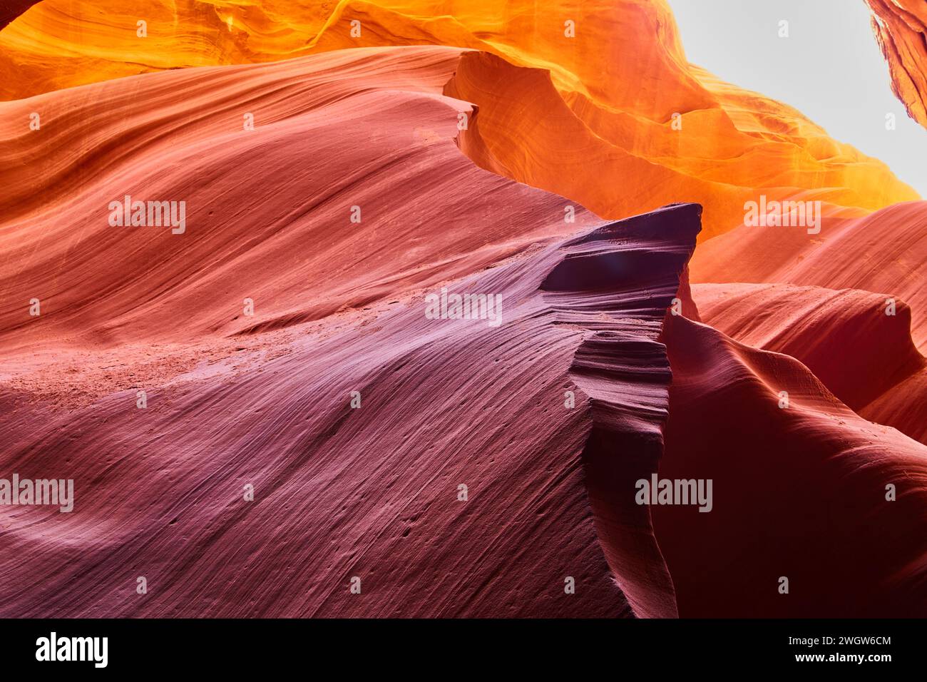 Antelope Canyon Warm Tones, Slot Canyon Curves, Immersive Low Angle ...