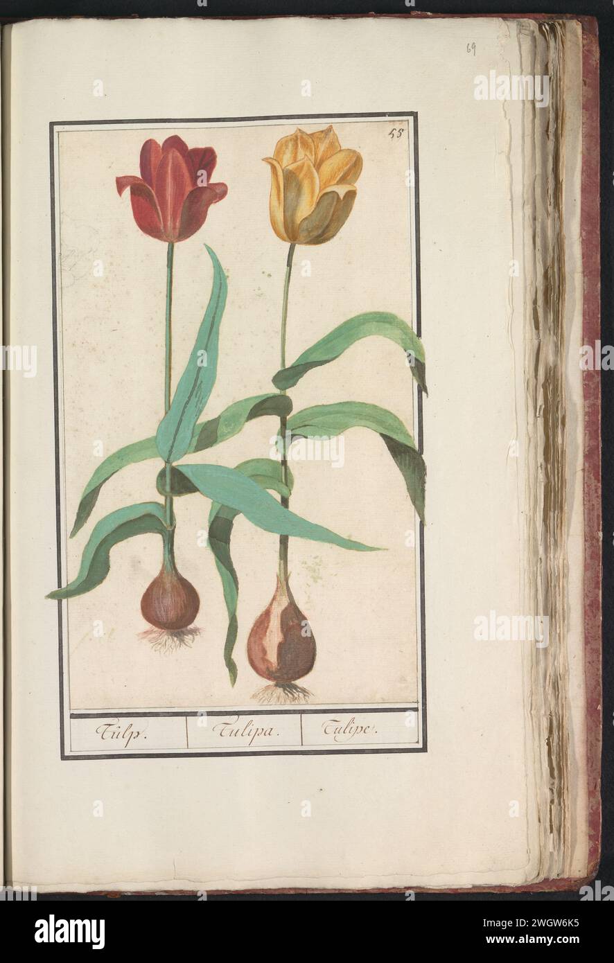 Drawing in red paint hi-res stock photography and images - Alamy