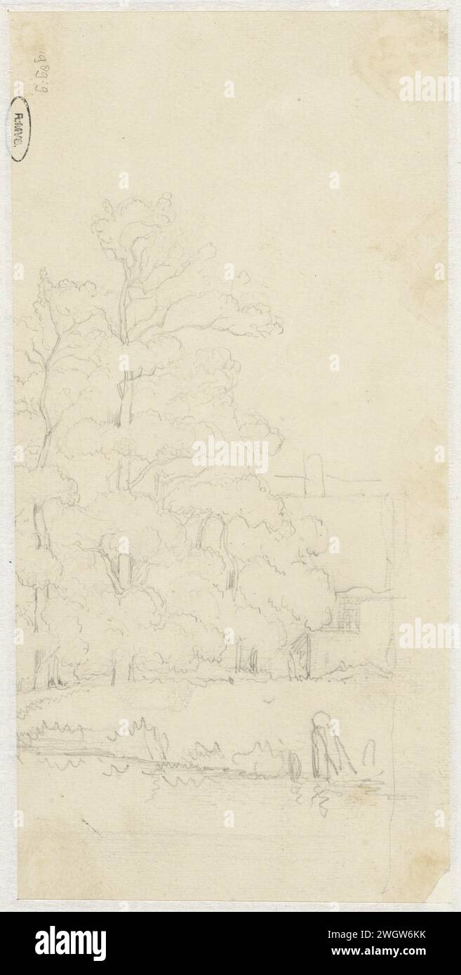 Sketch of high trees for a house, Jacob Jan van der Maaten, 1830 - 1879 drawing paper. pencil ...