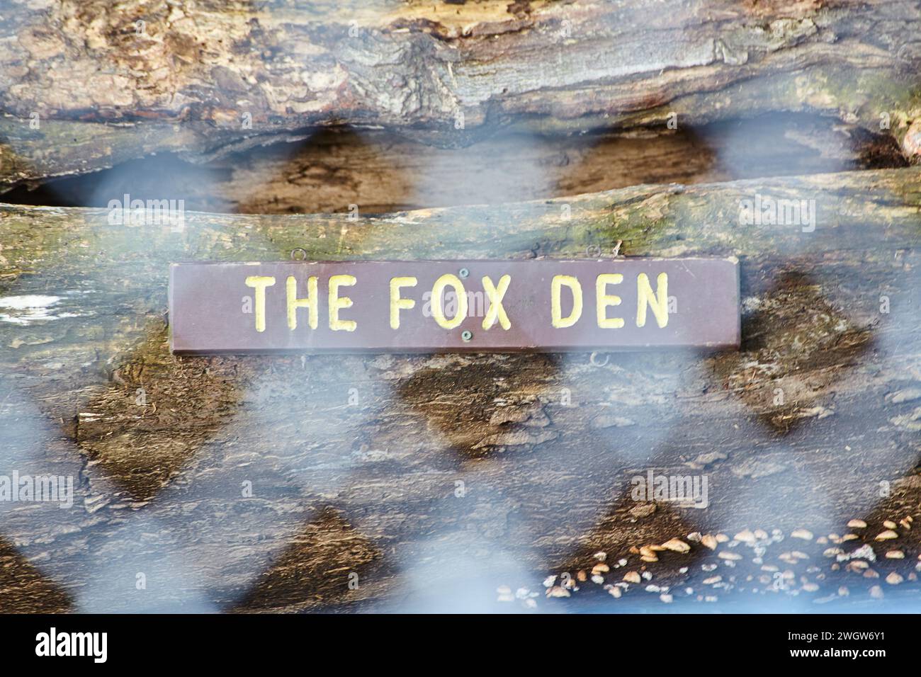 Rustic The Fox Den Sign on Wood Texture, Nature Theme Stock Photo - Alamy