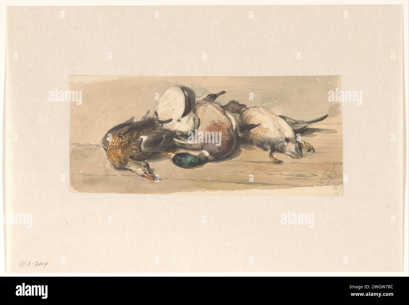 Still life with four ducks, Cornelis Springer, 1844 drawing paper ...