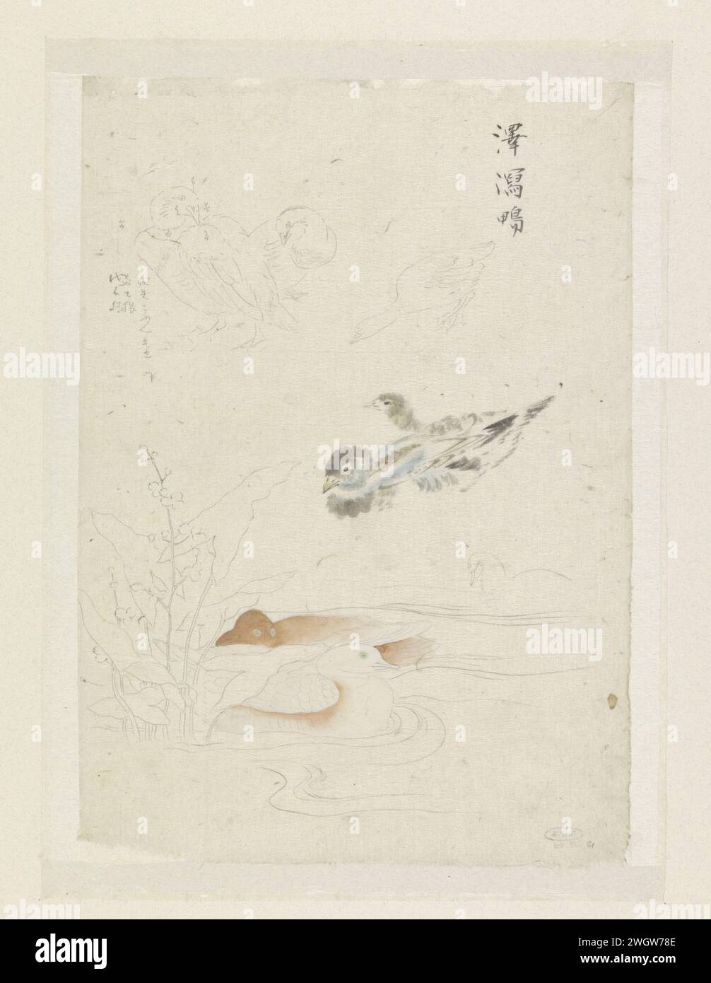 Water birds, Ishikawa Kazan, 1800 - 1900 drawing Japanese paper. ink ...