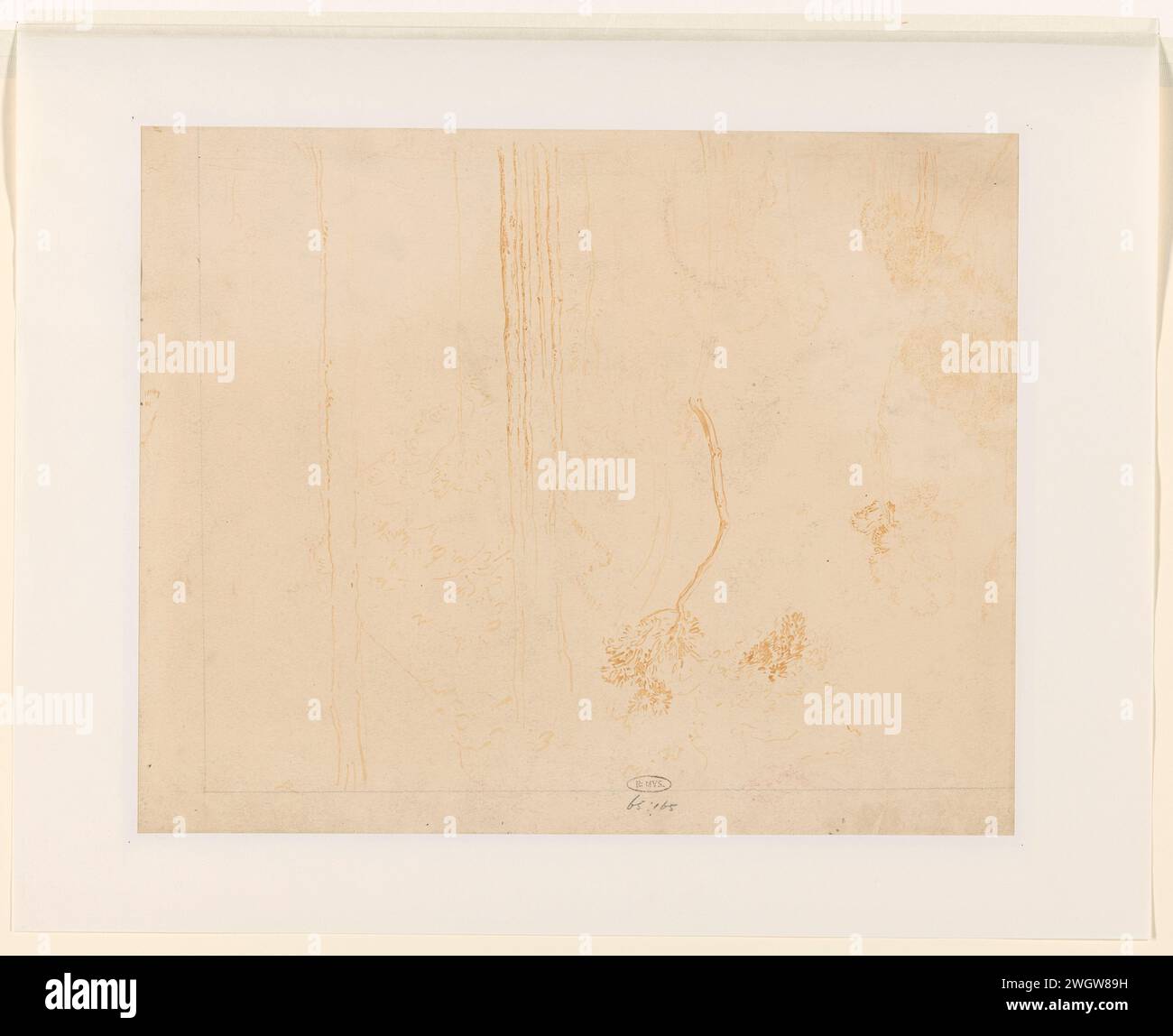 Tree Studies, Willem van Konijnenburg, 1878 - 1943 drawing paper. ink ...