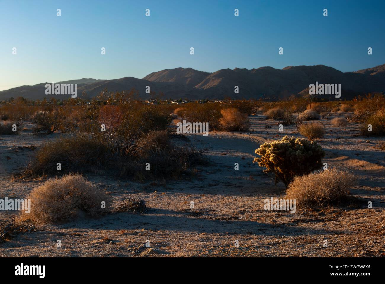 Desert landscape featuring arid terrain, scattered shrubs, boulders ...