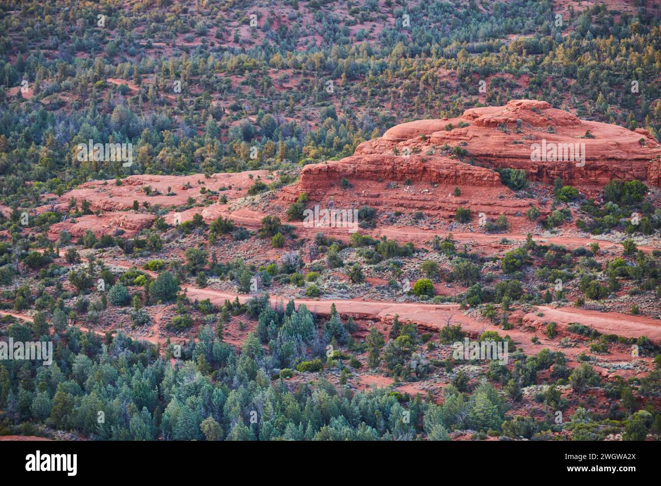 Southwest sedona with greenery hi-res stock photography and images - Alamy