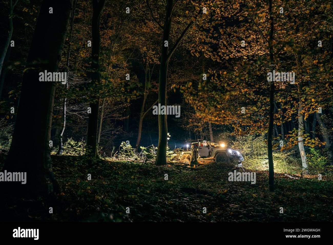 Night Time Woodland Wilderness Expedition During Scenic Fall Season ...