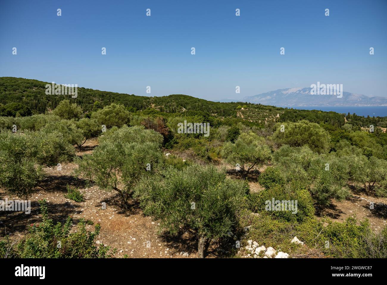 Cape Skinari With Views Across The Sea To Kefalonia, Zakynthos. Greece ...