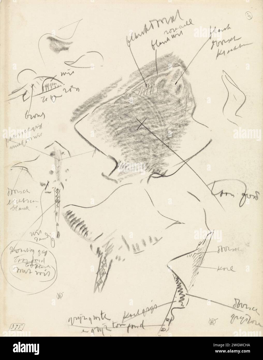 Detailed sketches of fish species hi-res stock photography and images ...