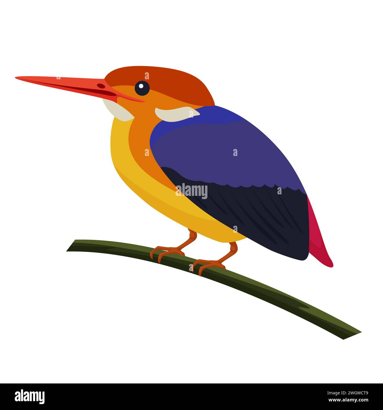 Kingfisher, bird with blue wings and beak sitting on tree branch vector ...