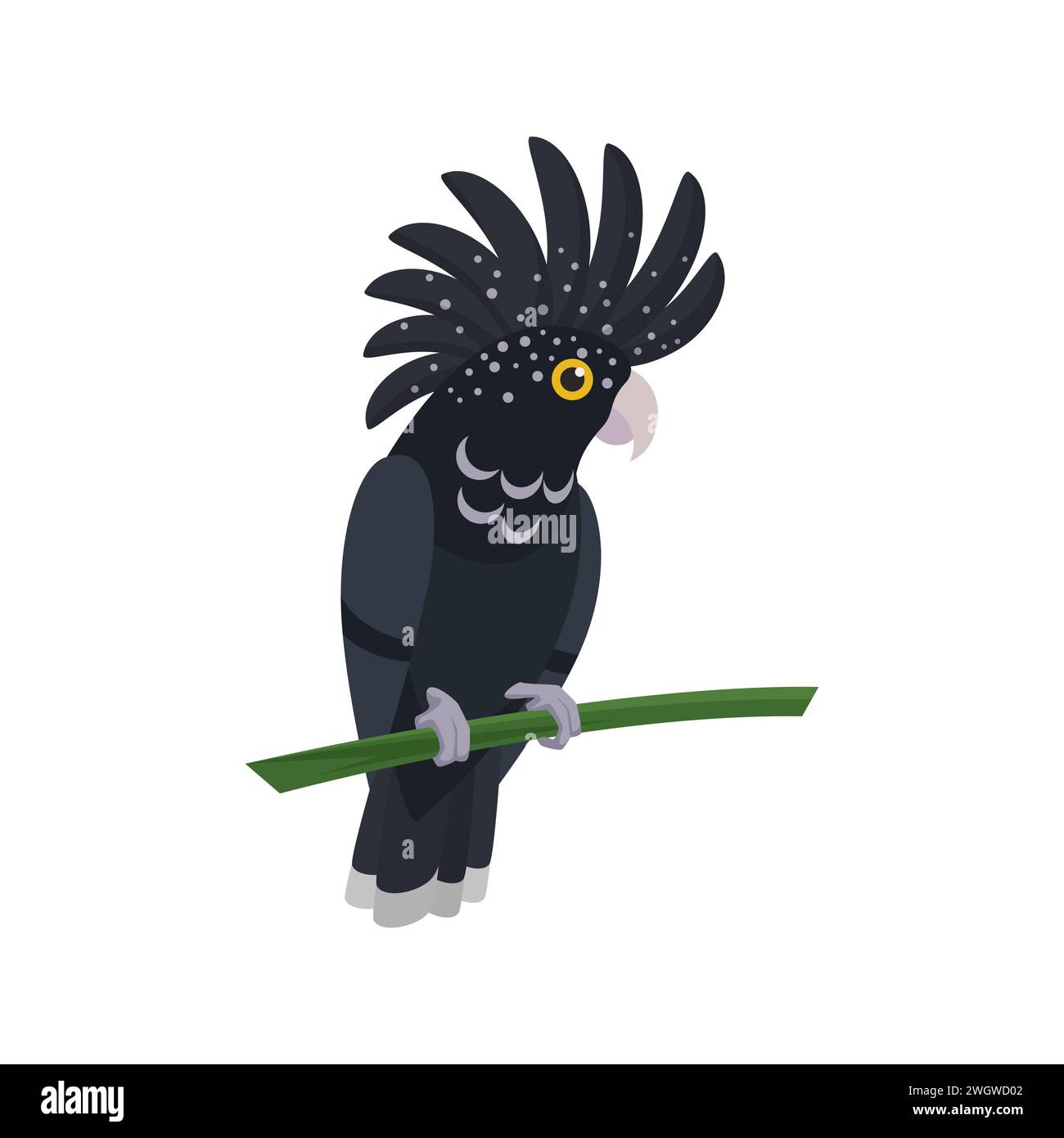 Palm cockatoo, great black parrot with beak and plume on head vector ...