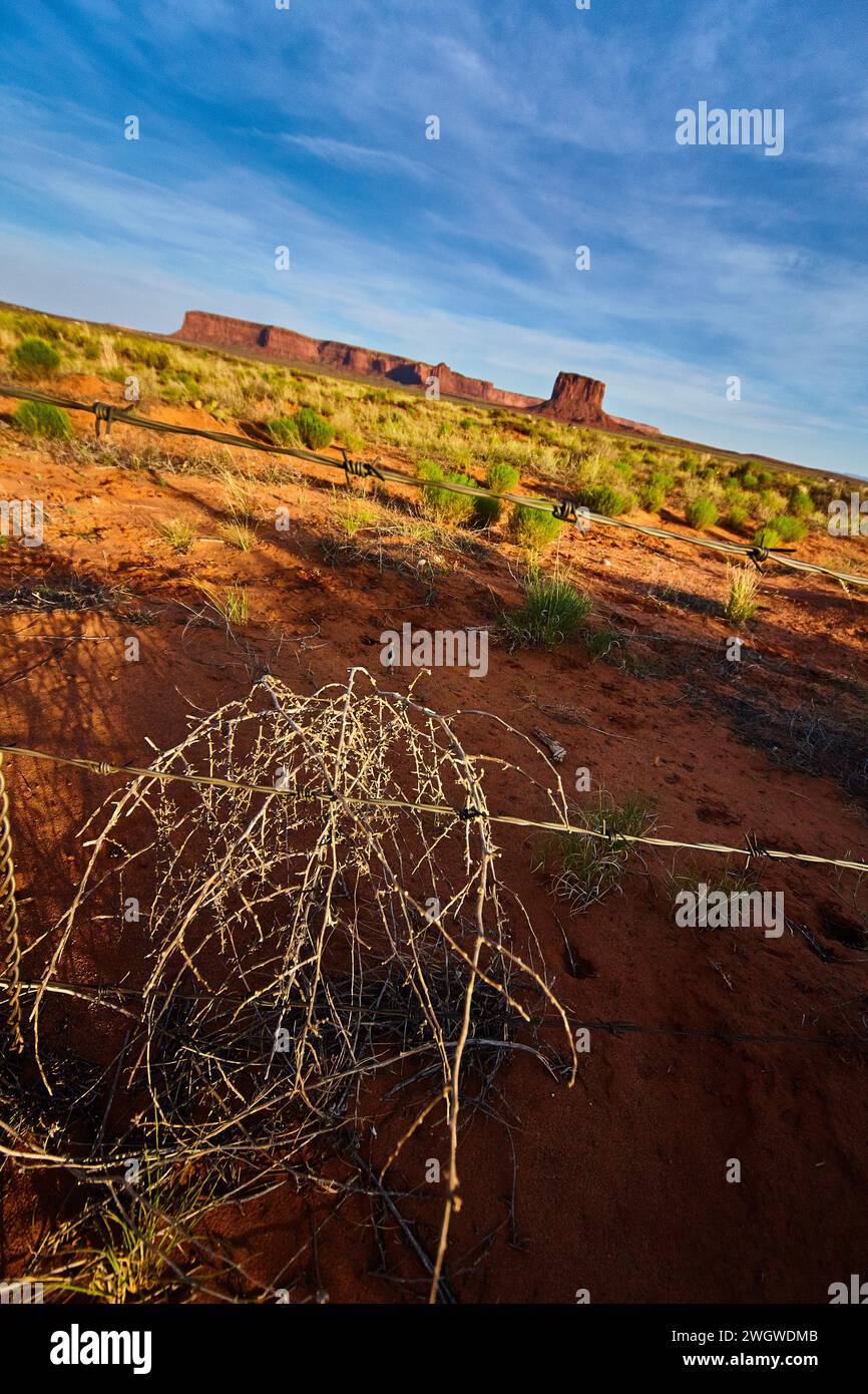 Tumbleweed on Barbed Wire with Southwest Mesas - Low Angle View Stock ...