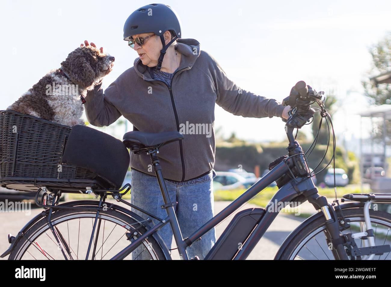 Woman riding bicycle dog hi-res stock photography and images - Alamy