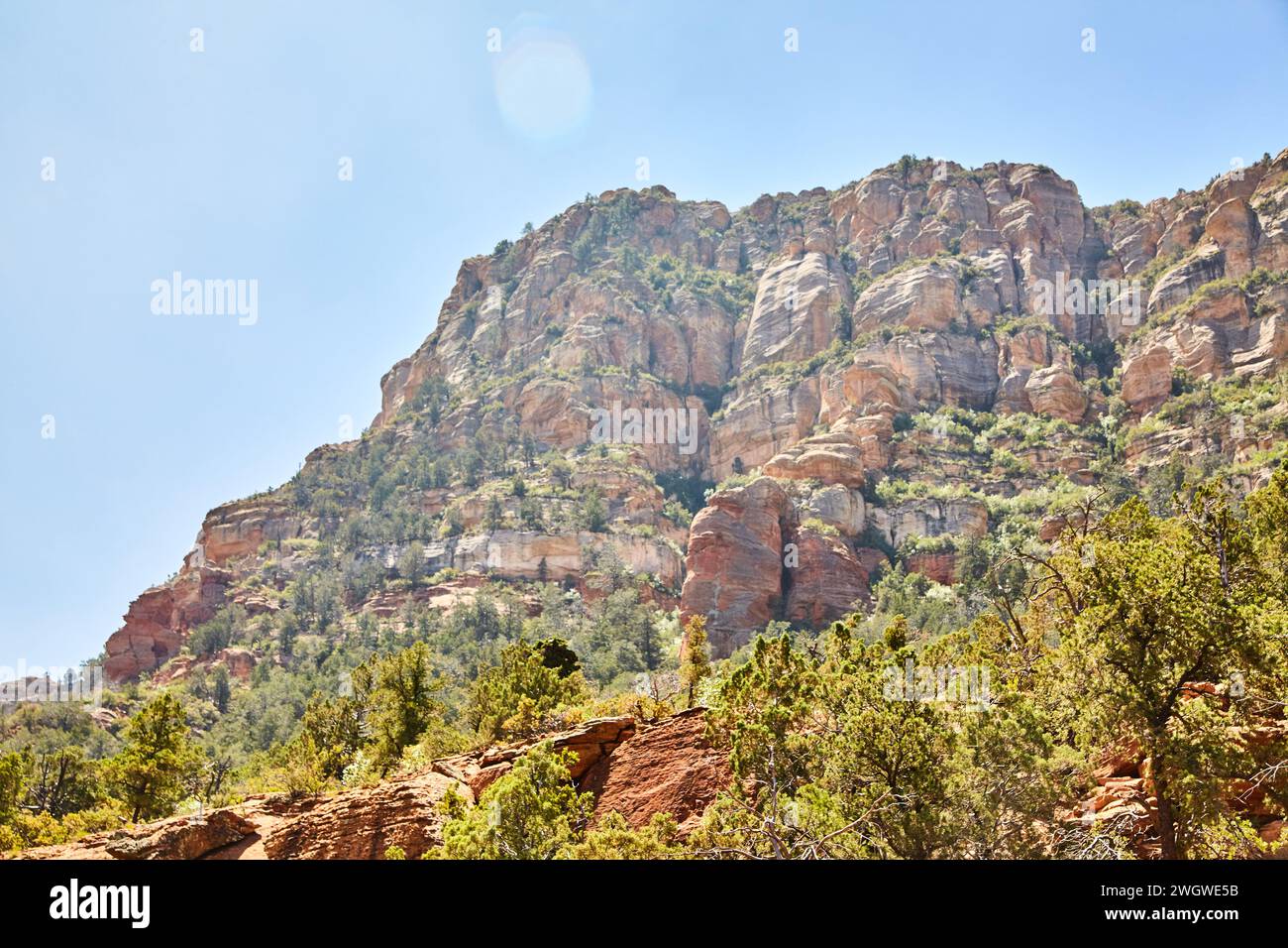 Sedona Red Rock Cliffs with Green Vegetation and Lens Flare Stock Photo ...