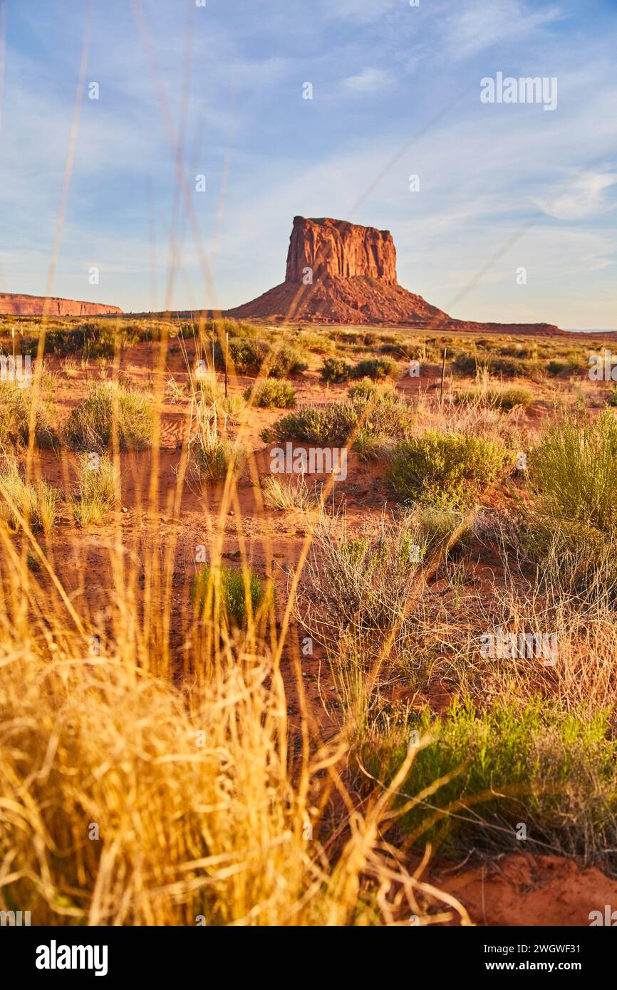 Golden Hour Desert Butte with Tall Grasses in Monument Valley Stock ...