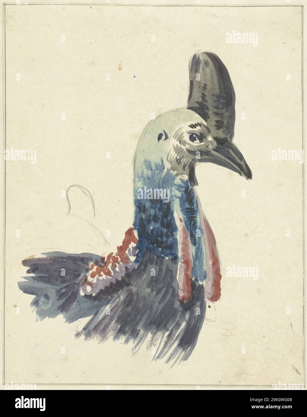 Kop van de Kasuaris, Christiaan van Geelen, 1700 - 1800 drawing paper ...
