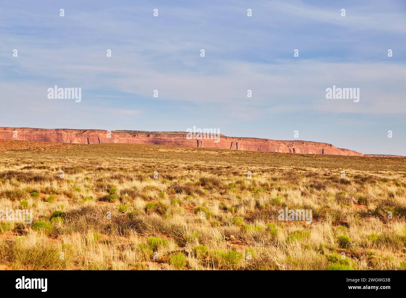 Semi-Arid Desert Landscape with Red Mesa, Arizona Stock Photo - Alamy
