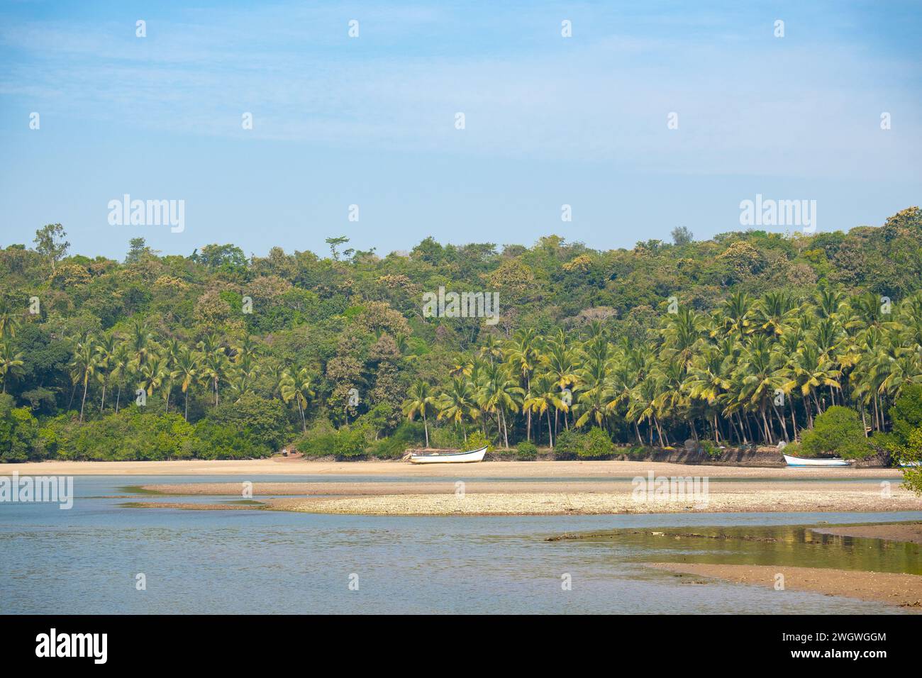 Agonda, Goa, India, 20th of december 2023, Landscape of lagoon of ...
