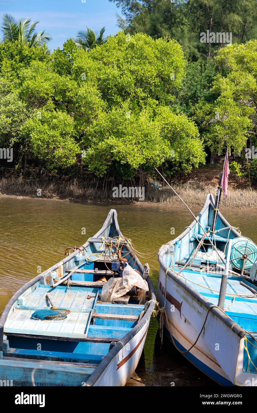 Goa river boat hi-res stock photography and images - Alamy