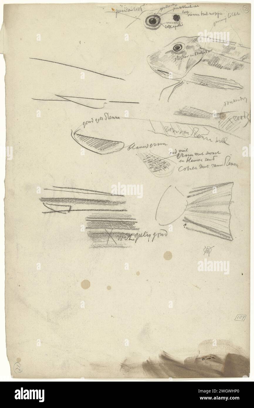 Detail studies of a poon, with color notes, Gerrit Willem Dijsselhof ...