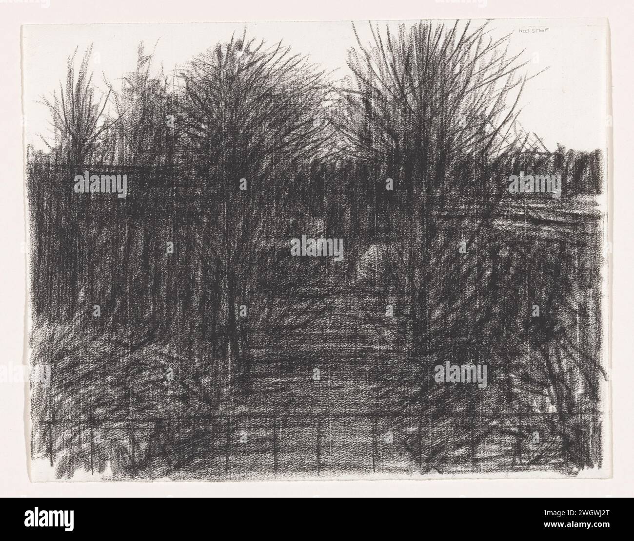 Bush crop, 1939 - 2009 drawing paper. bush, shrubs forest Stock Photo ...