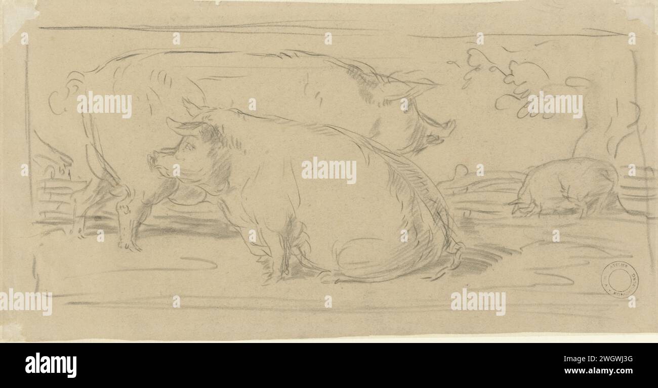 Three Pigs, Willem van Konijnenburg, 1878 - 1943 drawing paper. pencil ... Three Pigs, Willem van Konijnenburg, 1878 - 1943 drawing paper. pencil ...